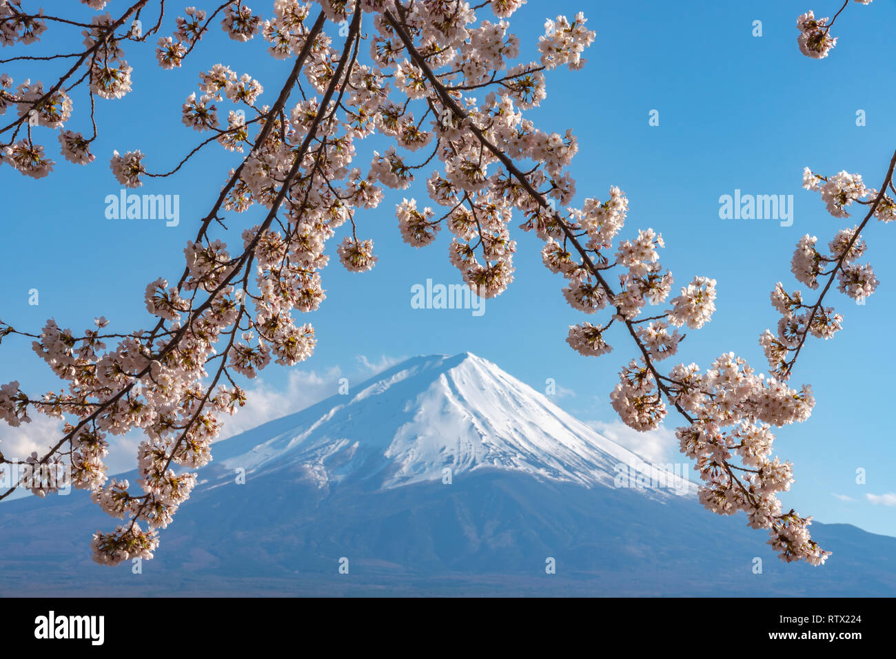 Close-up snow covered Mount Fuji ( Mt. Fuji ) with blue sky background ...
