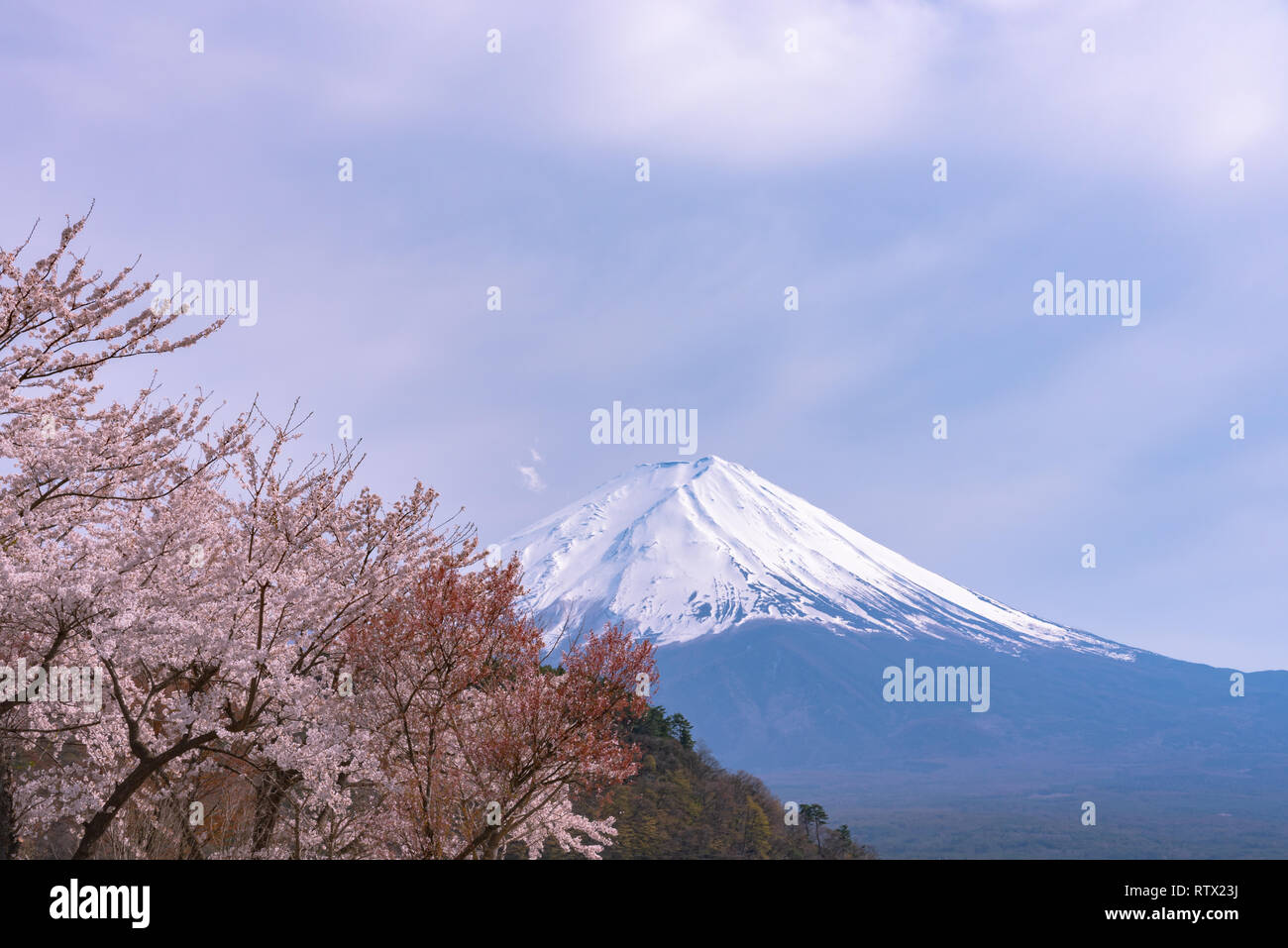 Close-up snow covered Mount Fuji ( Mt. Fuji ) with blue sky background ...
