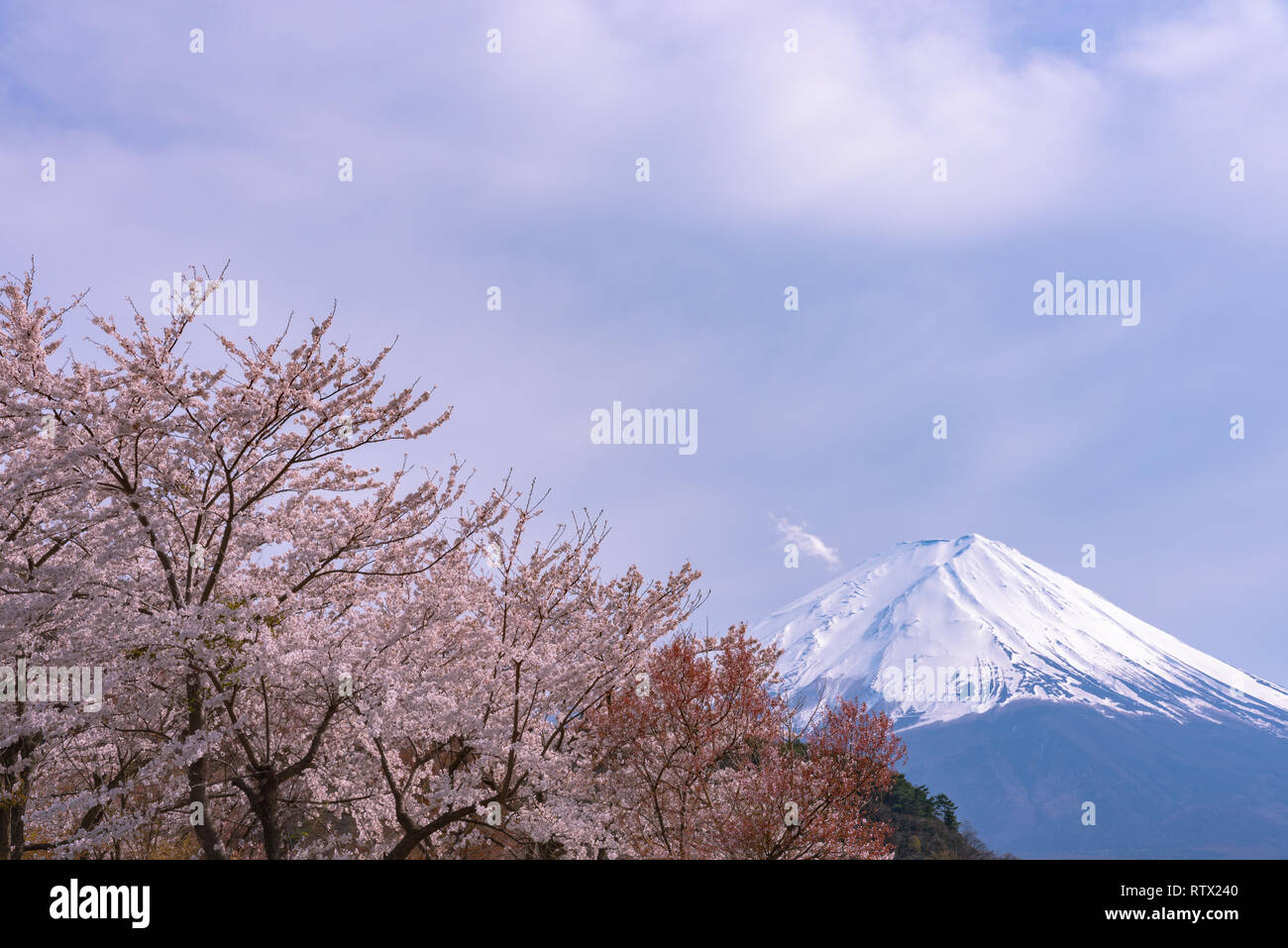 Close-up snow covered Mount Fuji ( Mt. Fuji ) with blue sky background ...