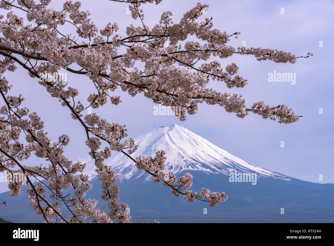Close-up snow covered Mount Fuji ( Mt. Fuji ) with blue sky background ...