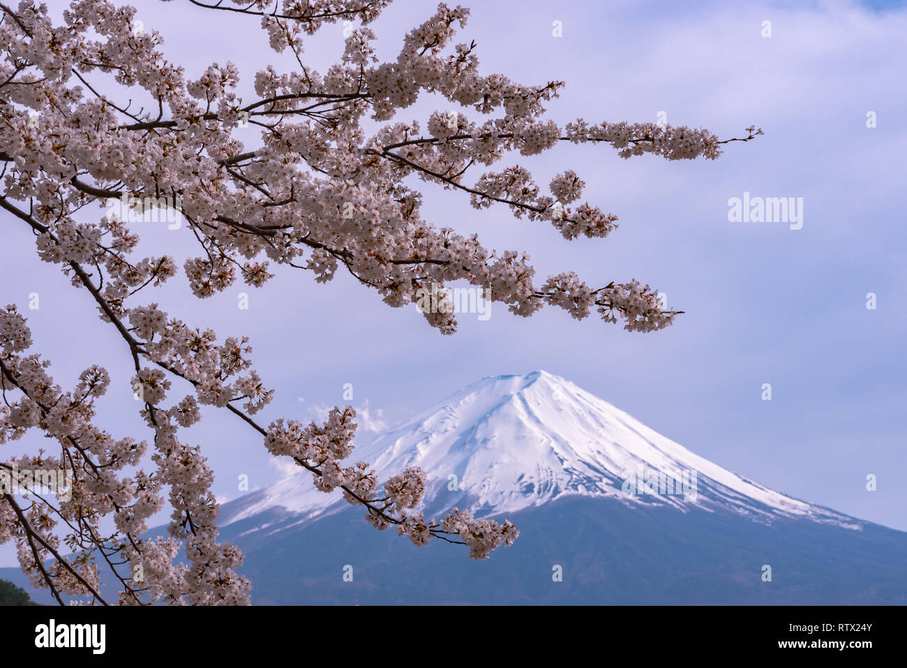 Close-up snow covered Mount Fuji ( Mt. Fuji ) with blue sky background ...