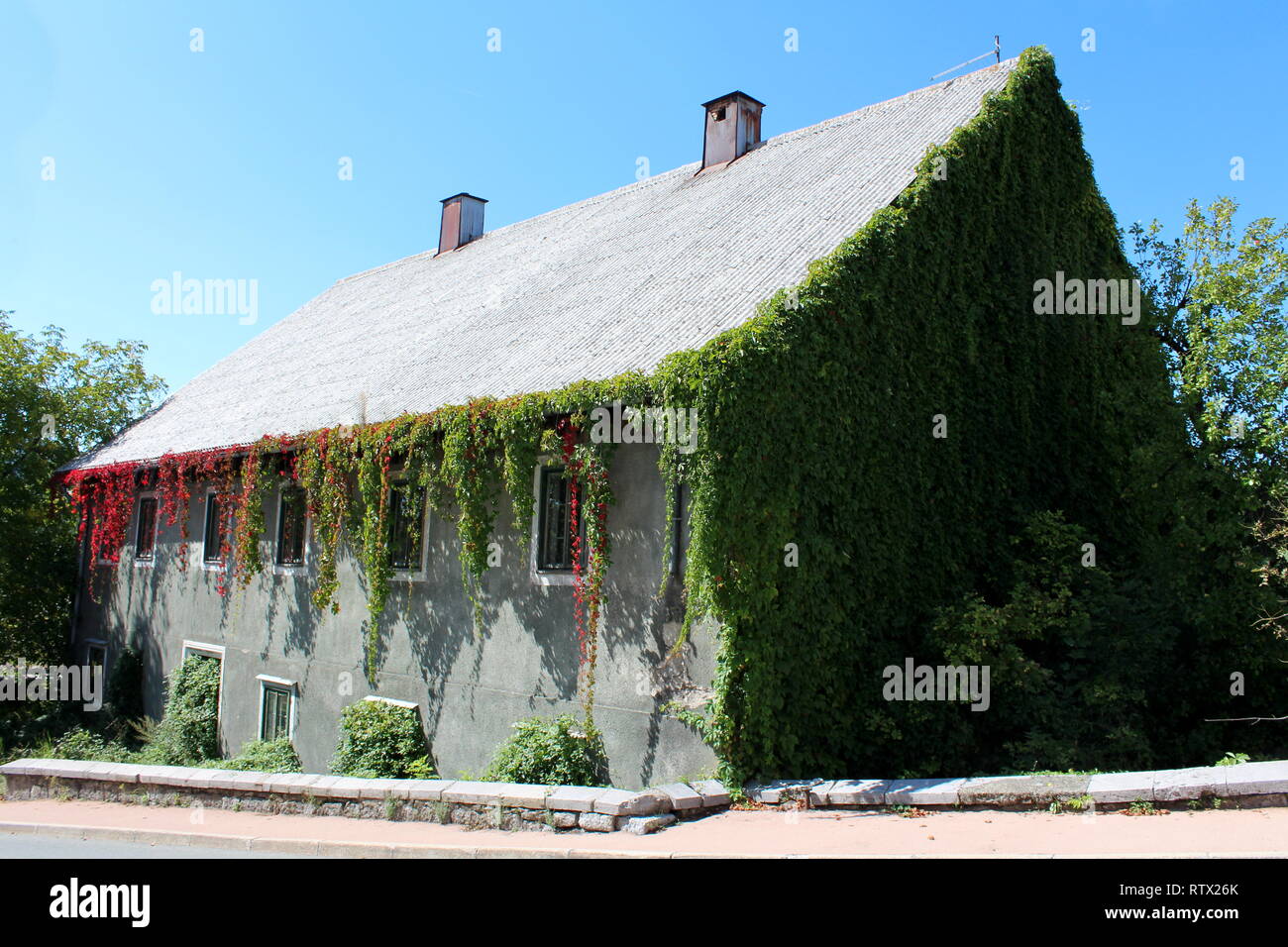 Beautifully overgrown large abandoned family house with green and red ...