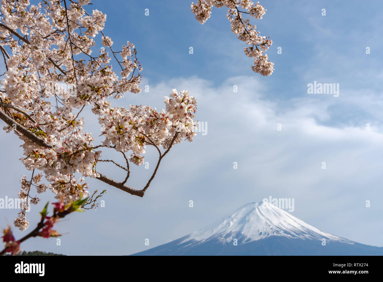 Close-up snow covered Mount Fuji ( Mt. Fuji ) with blue sky background ...