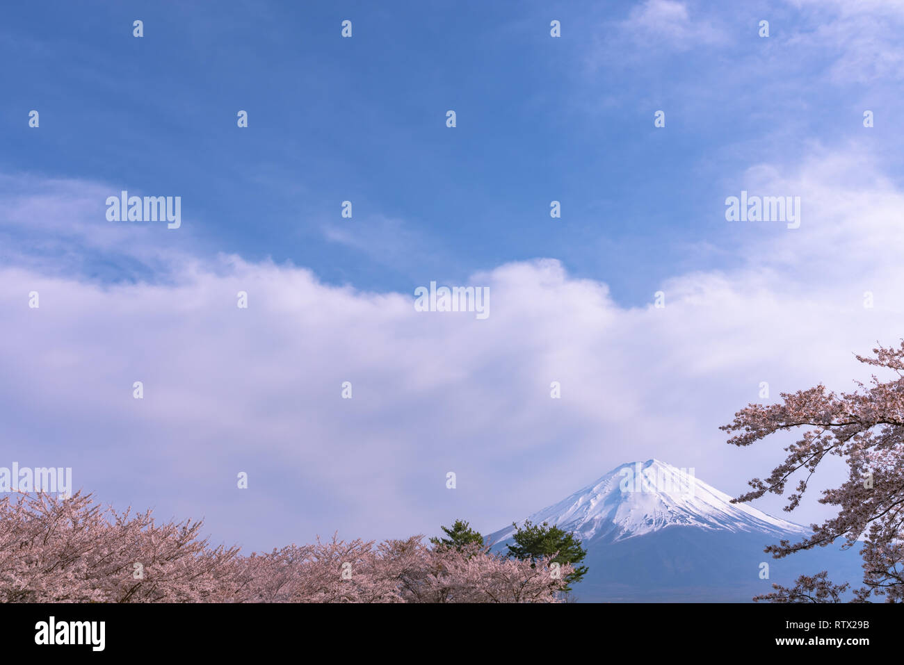 Close-up snow covered Mount Fuji ( Mt. Fuji ) with blue sky background ...