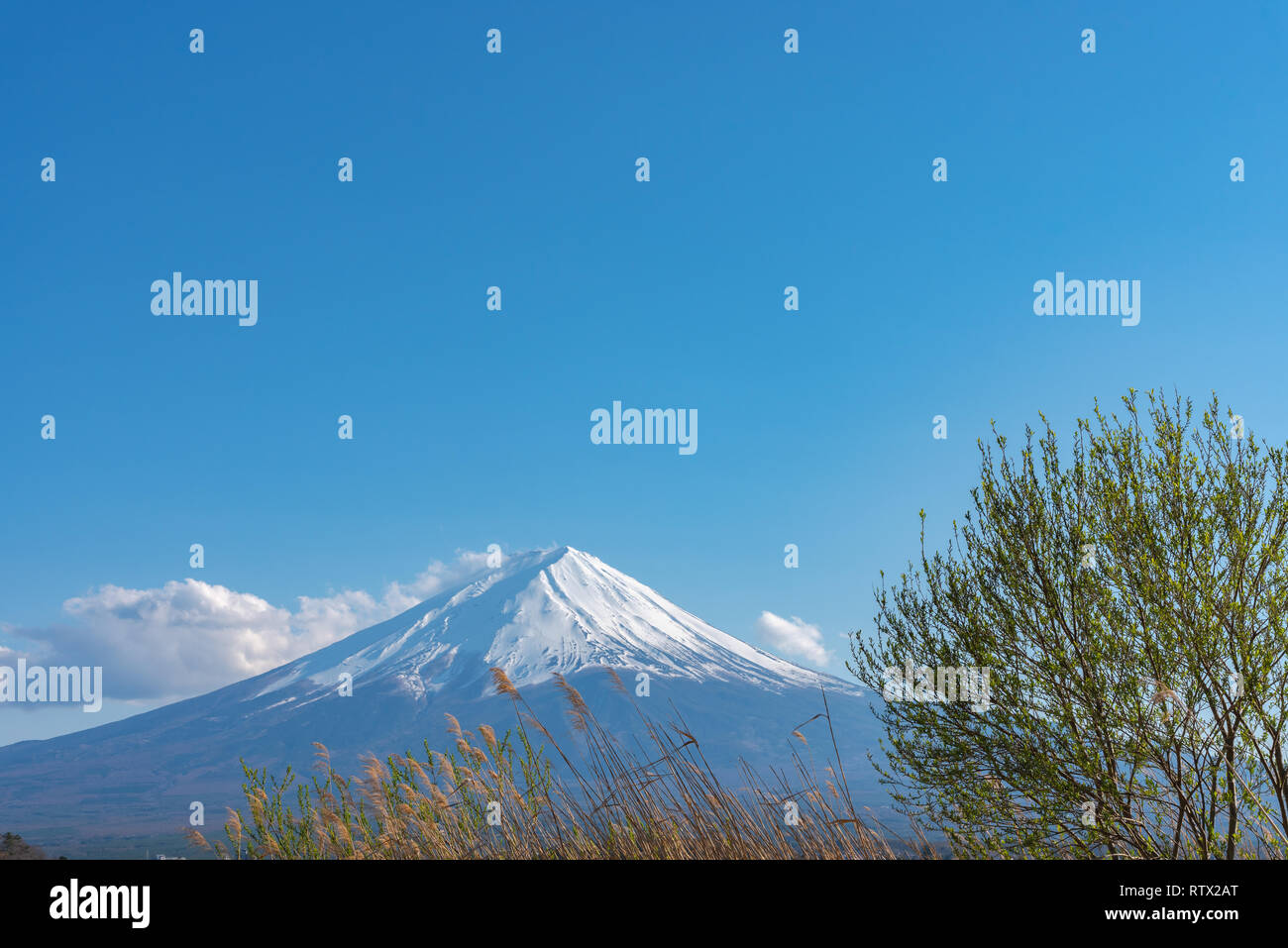 Close up snow covered Mount Fuji ( Mt. Fuji ) in blue sky background on ...