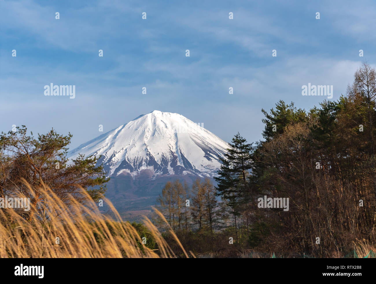 Close up snow covered Mount Fuji ( Mt. Fuji ) in blue sky background on ...