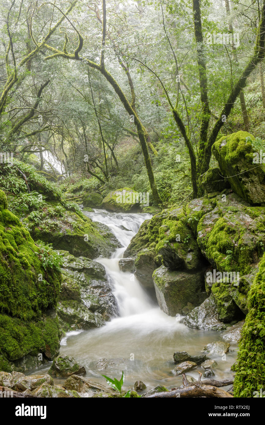 Cataract water winter hi-res stock photography and images - Alamy
