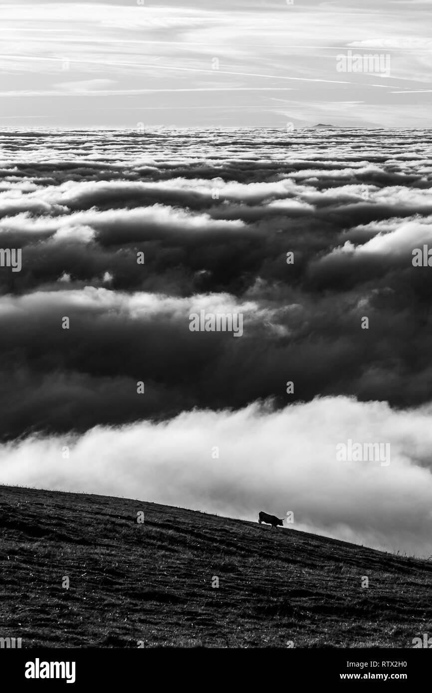 Mountain mist sunrise on Black and White Stock Photos & Images - Alamy