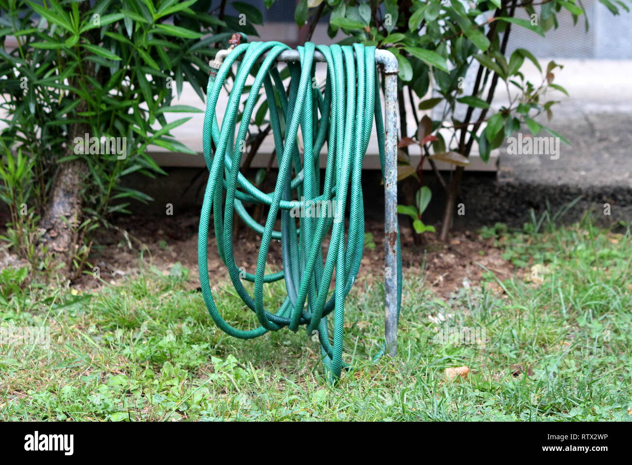 Green garden water hose wrapped around metal pipe surrounded with high ...