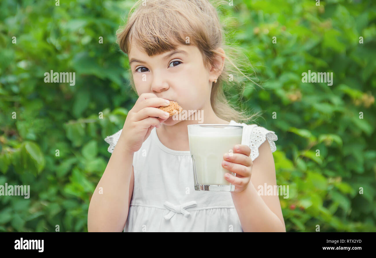 Cow dunk hi-res stock photography and images - Alamy