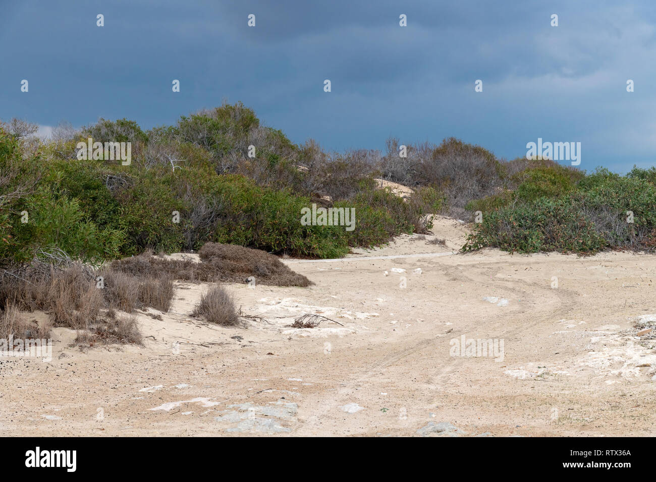 The nature of island of Cyprus - stones, sand and plants Stock Photo ...