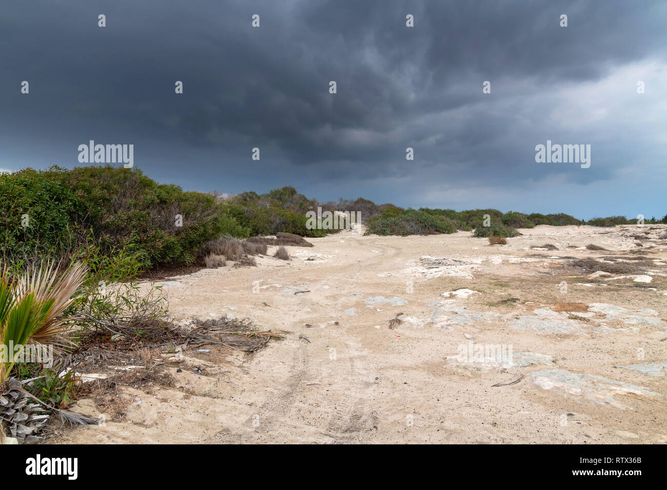 The nature of island of Cyprus - stones, sand and plants Stock Photo ...