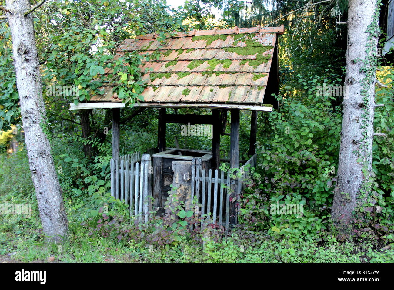 Old abandoned forest well with wooden frame and picket fence covered ...