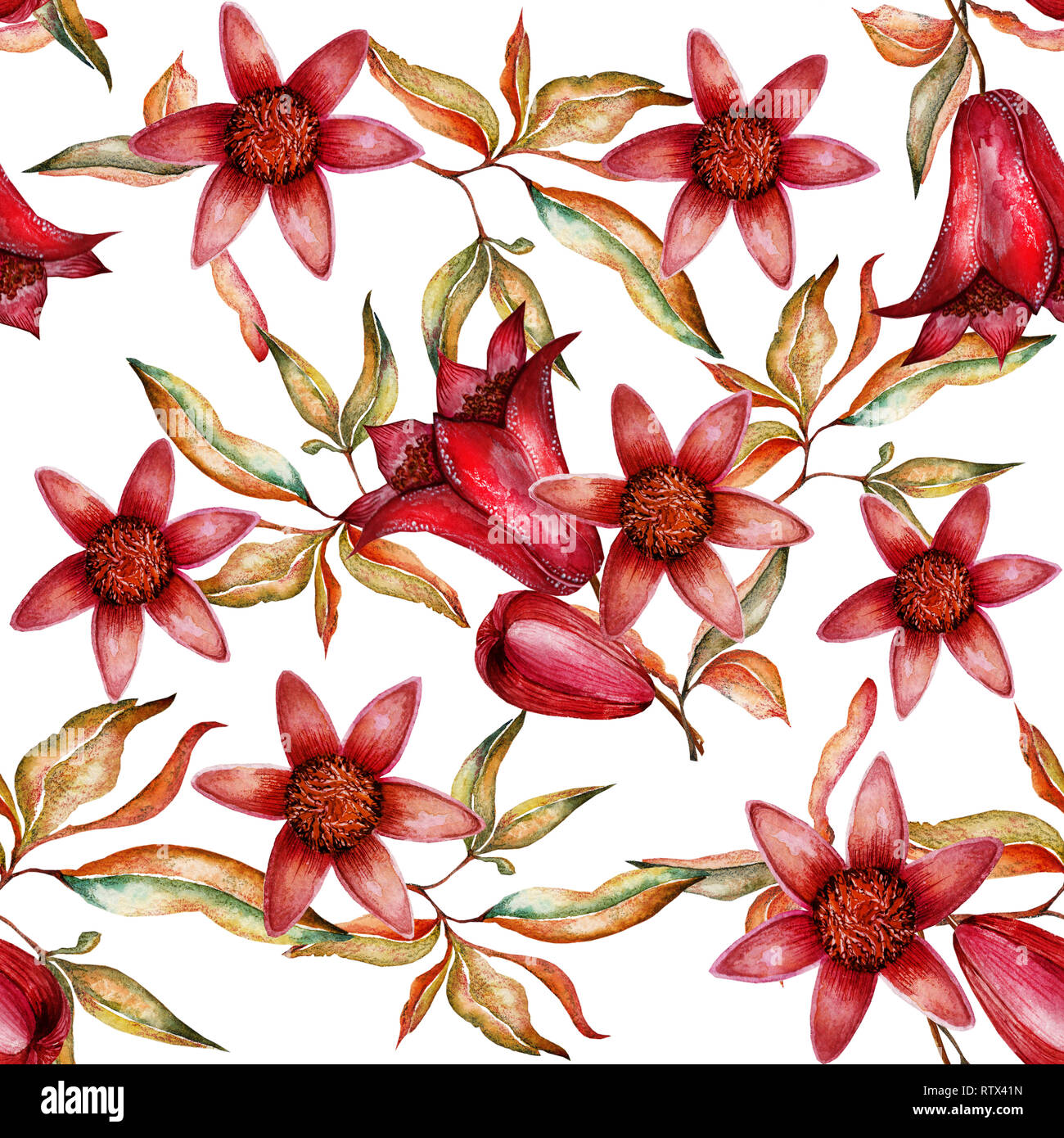 Seamless pattern of fruits hi-res stock photography and images - Alamy