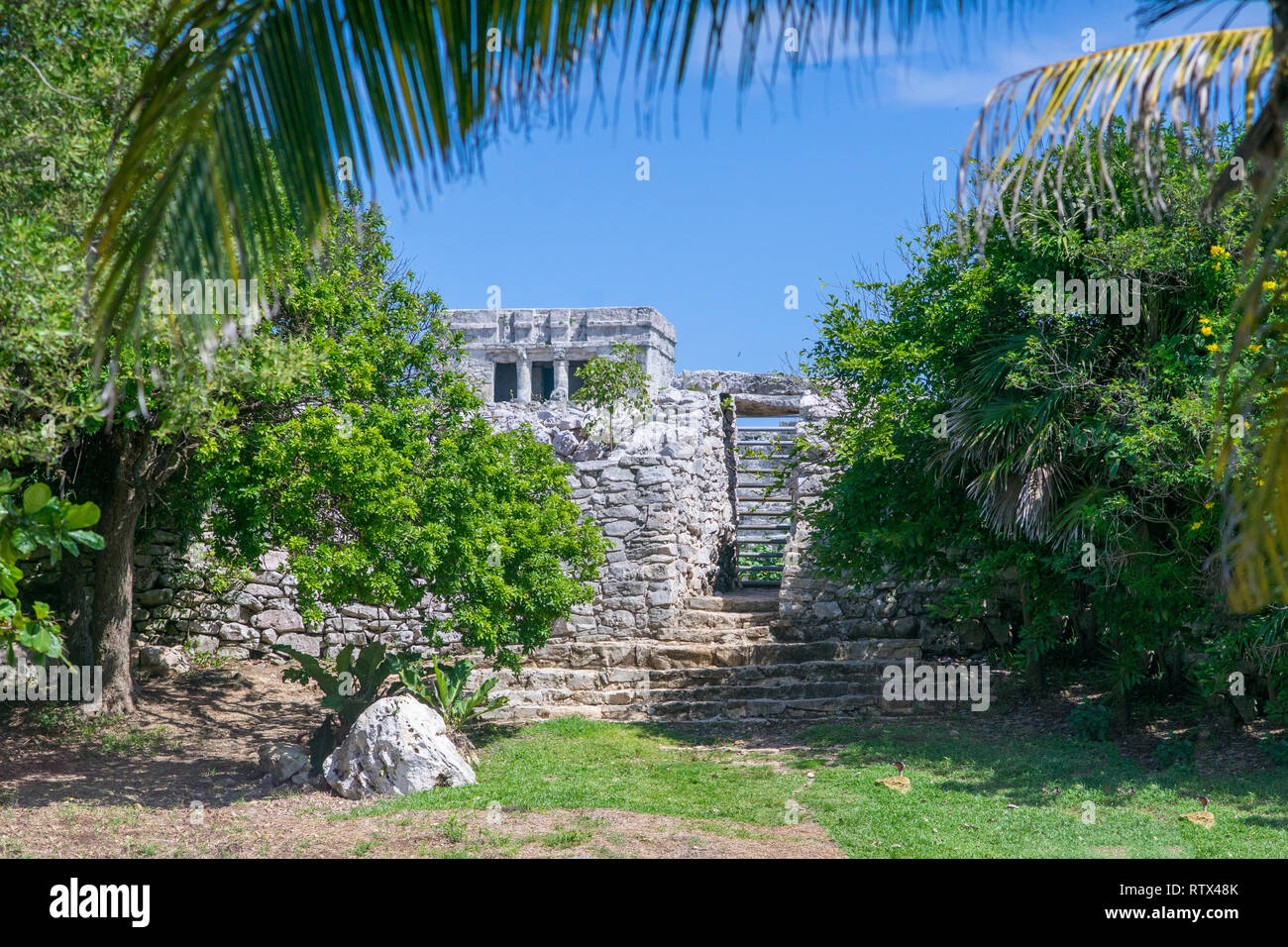 Tulum Maya ruins, Mexico Stock Photo - Alamy