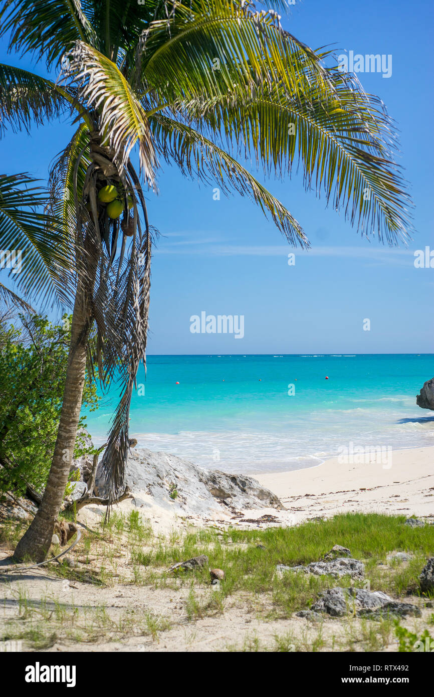 Tulum beach, Mexico Stock Photo - Alamy