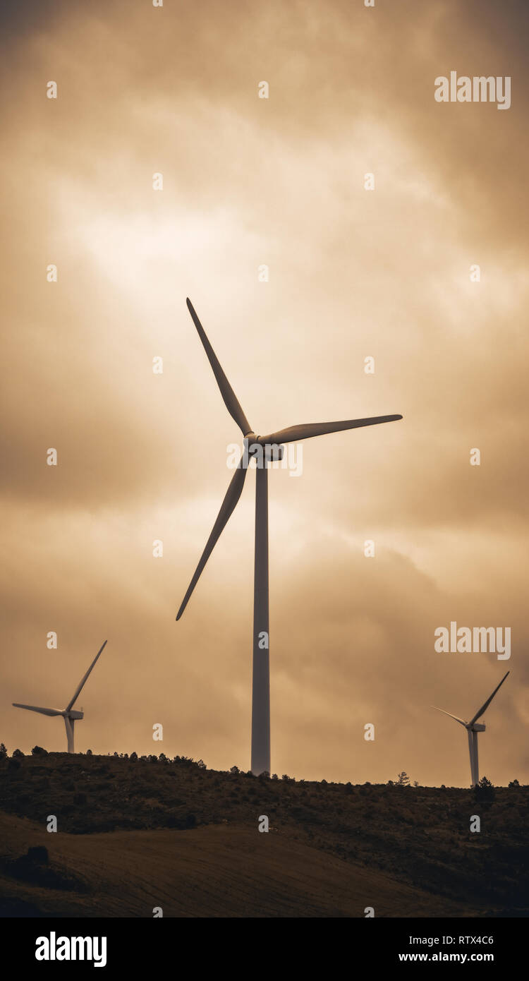 Pollution-free wind power, detail of conservation of the environment ...