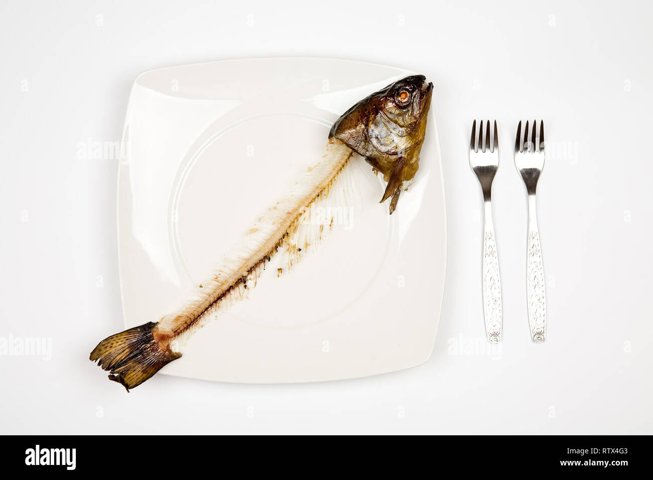 eaten fish with head and tail - symbol of misery Stock Photo - Alamy