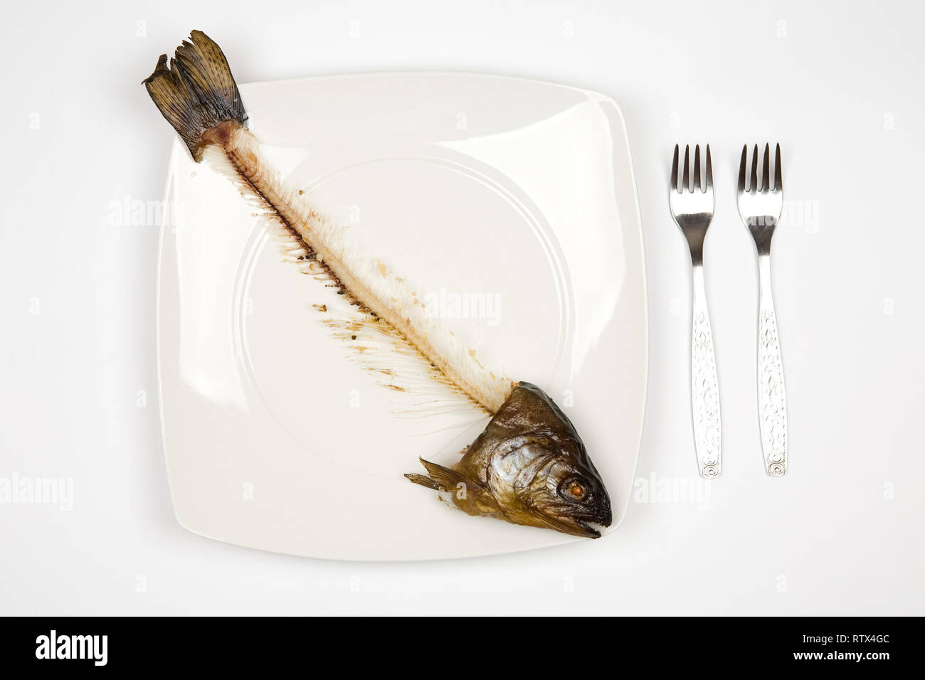 eaten fish with head and tail - symbol of misery Stock Photo - Alamy
