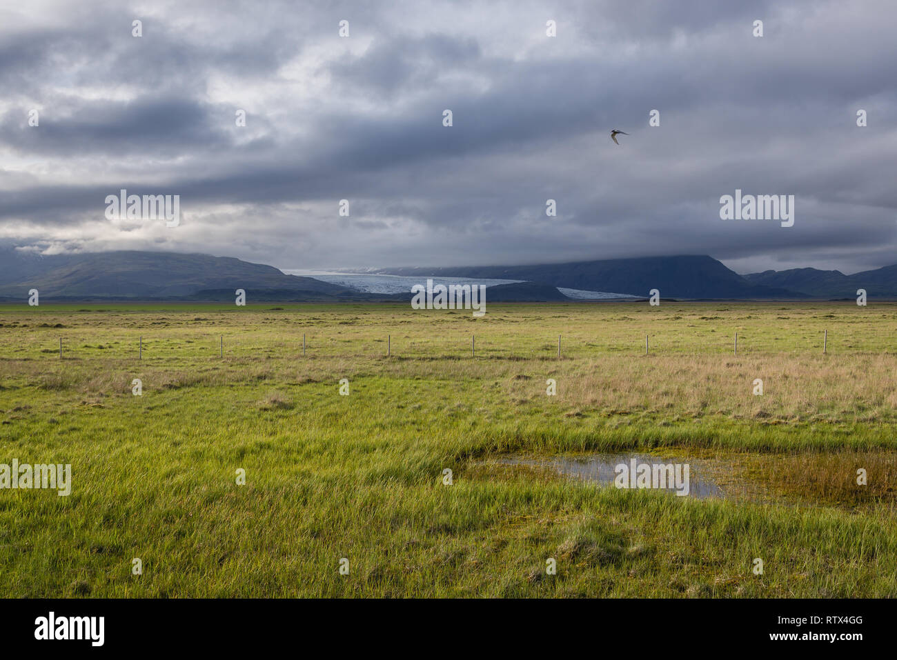 Flaajokull ice tongue in southeast part of Iceland Stock Photo - Alamy