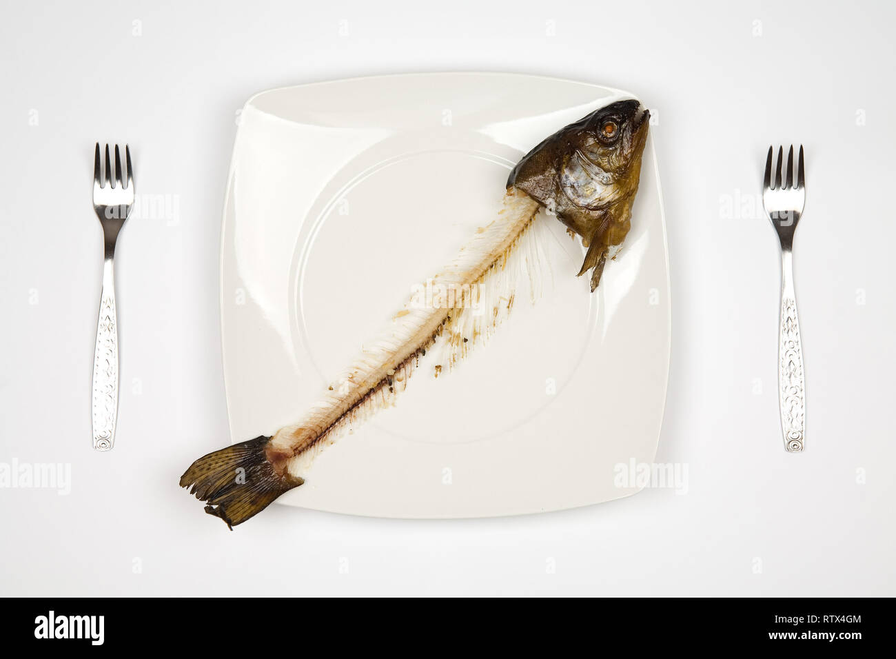 eaten fish with head and tail - symbol of misery Stock Photo - Alamy