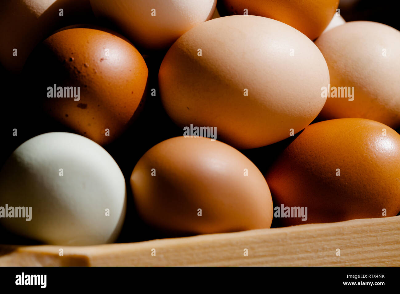 Free range eggs symbol hi-res stock photography and images - Alamy