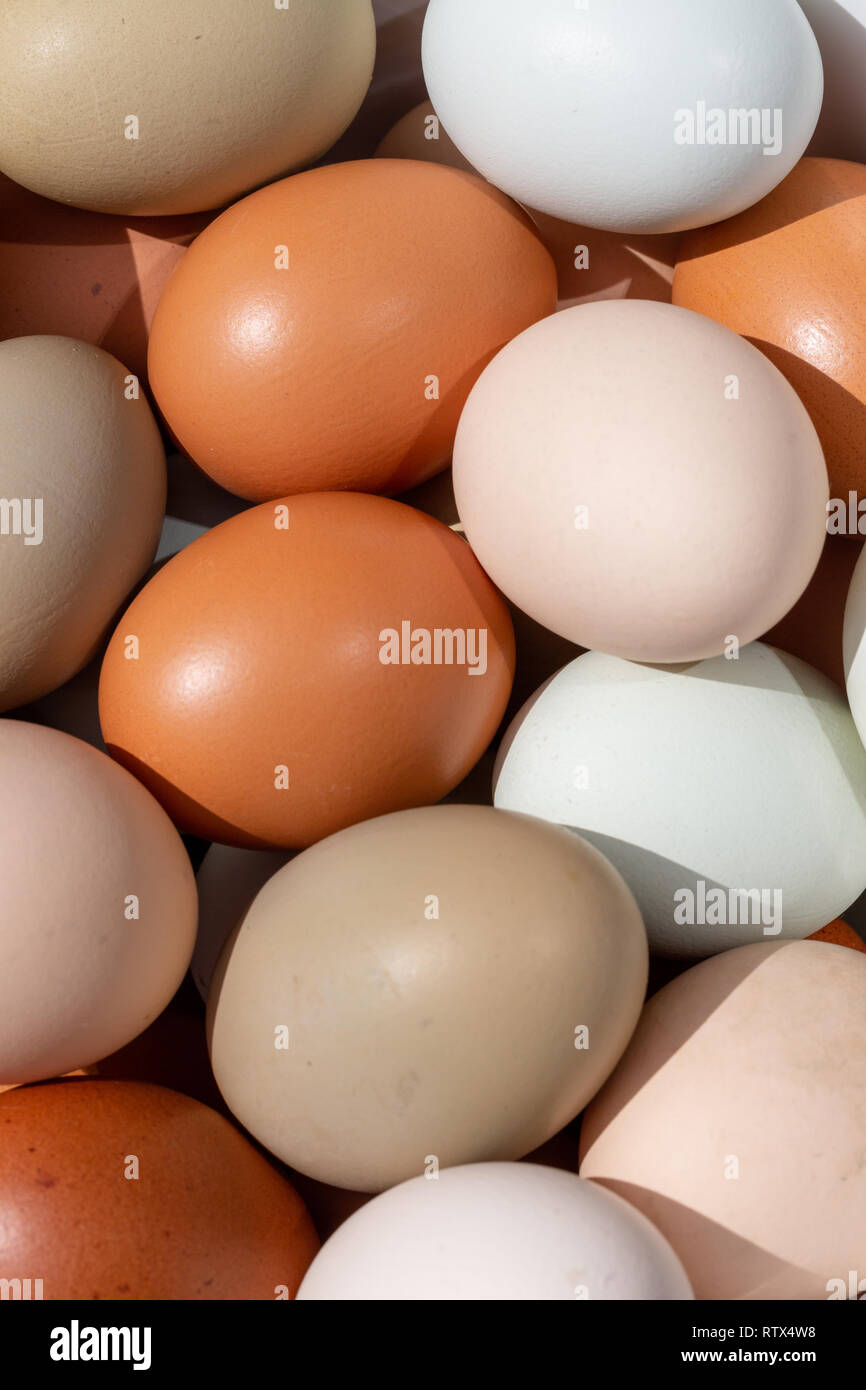 Free range eggs symbol hi-res stock photography and images - Alamy