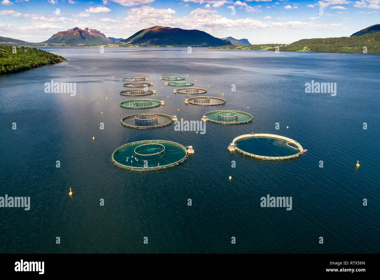 Commercial Salmon Farming Stock Photos & Commercial Salmon Farming ...