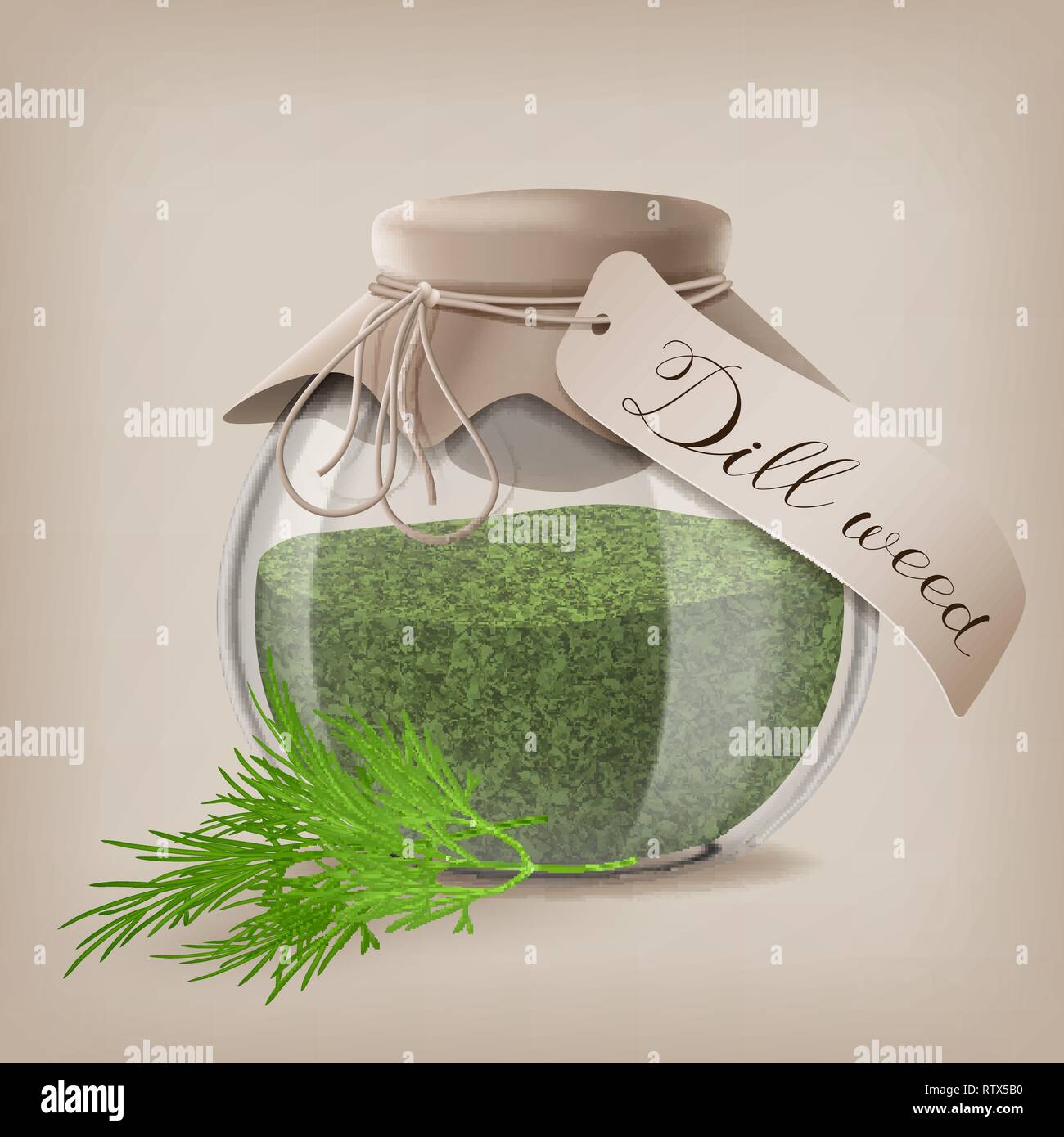 Dried dill weed in a glass jar with dill sprigs. Vector illustration ...