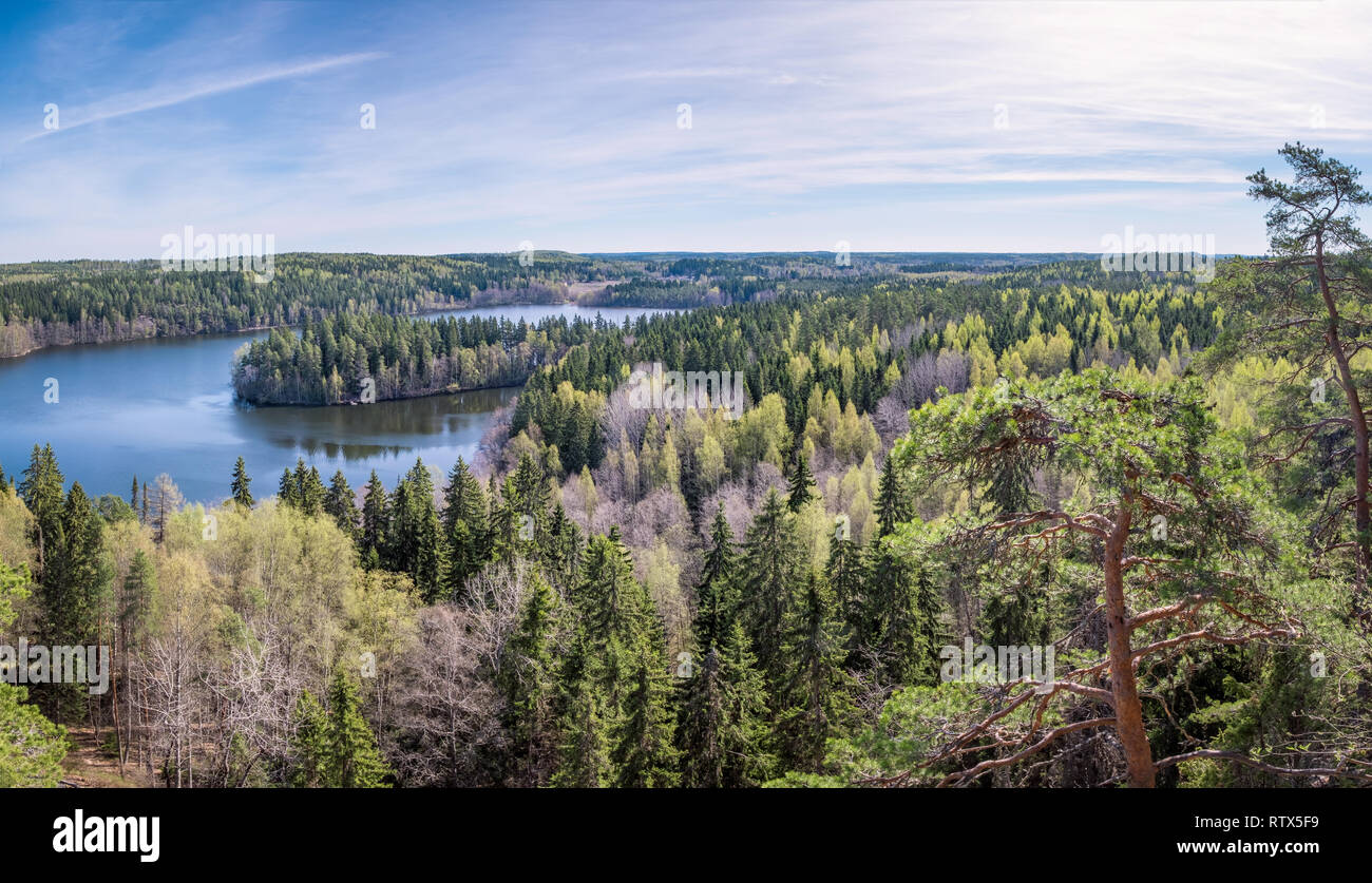 Scenic forest landscape with lake and trees at bright sunny spring day ...