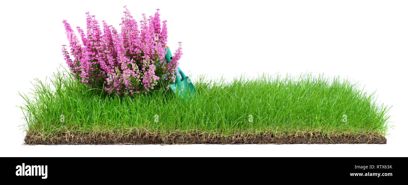 Gardening Panorama on white Background Stock Photo - Alamy