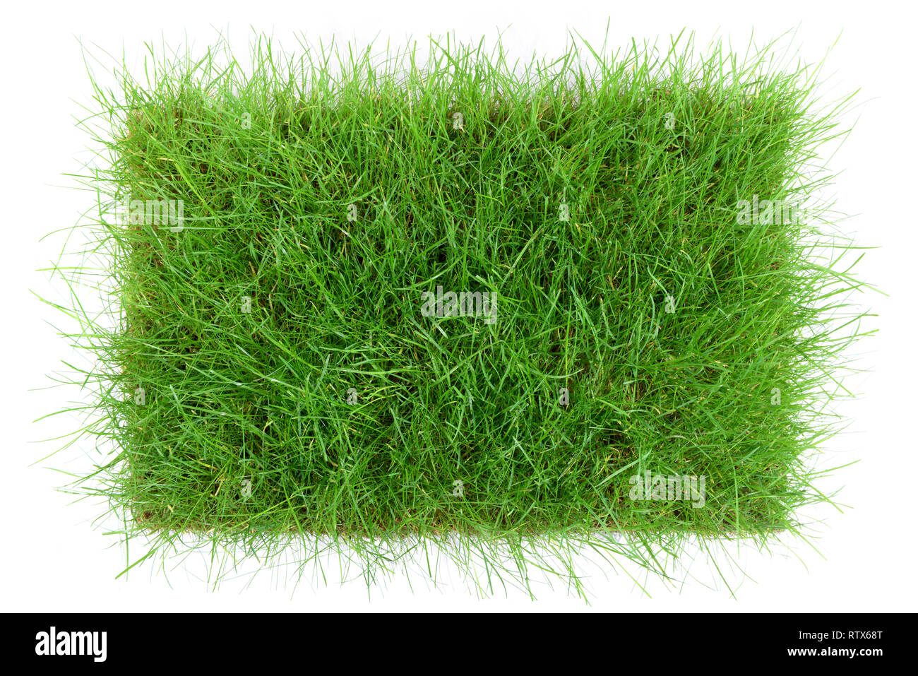 Realistic element design green Cut Out Stock Images & Pictures - Alamy