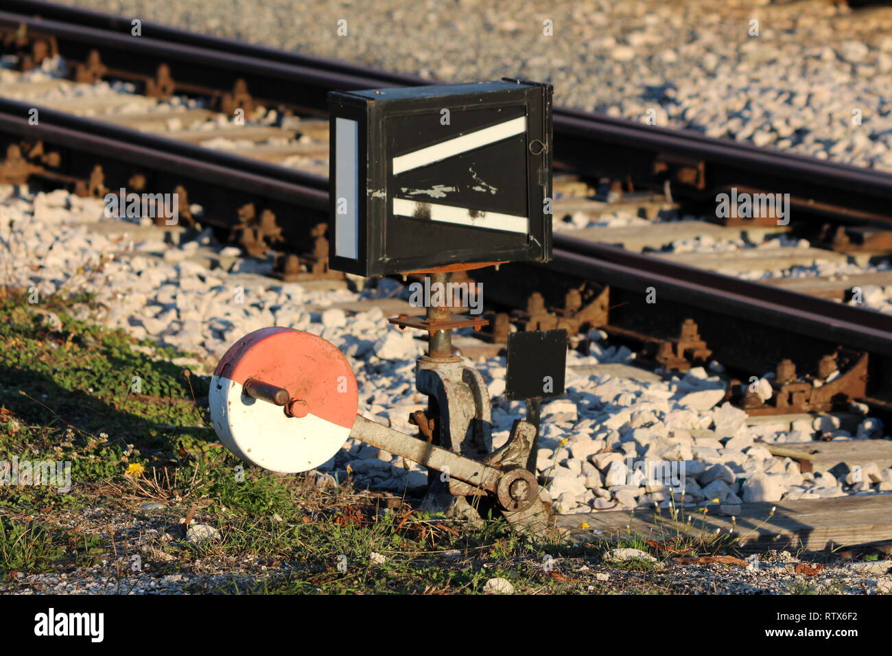 Red switch grass hi-res stock photography and images - Alamy