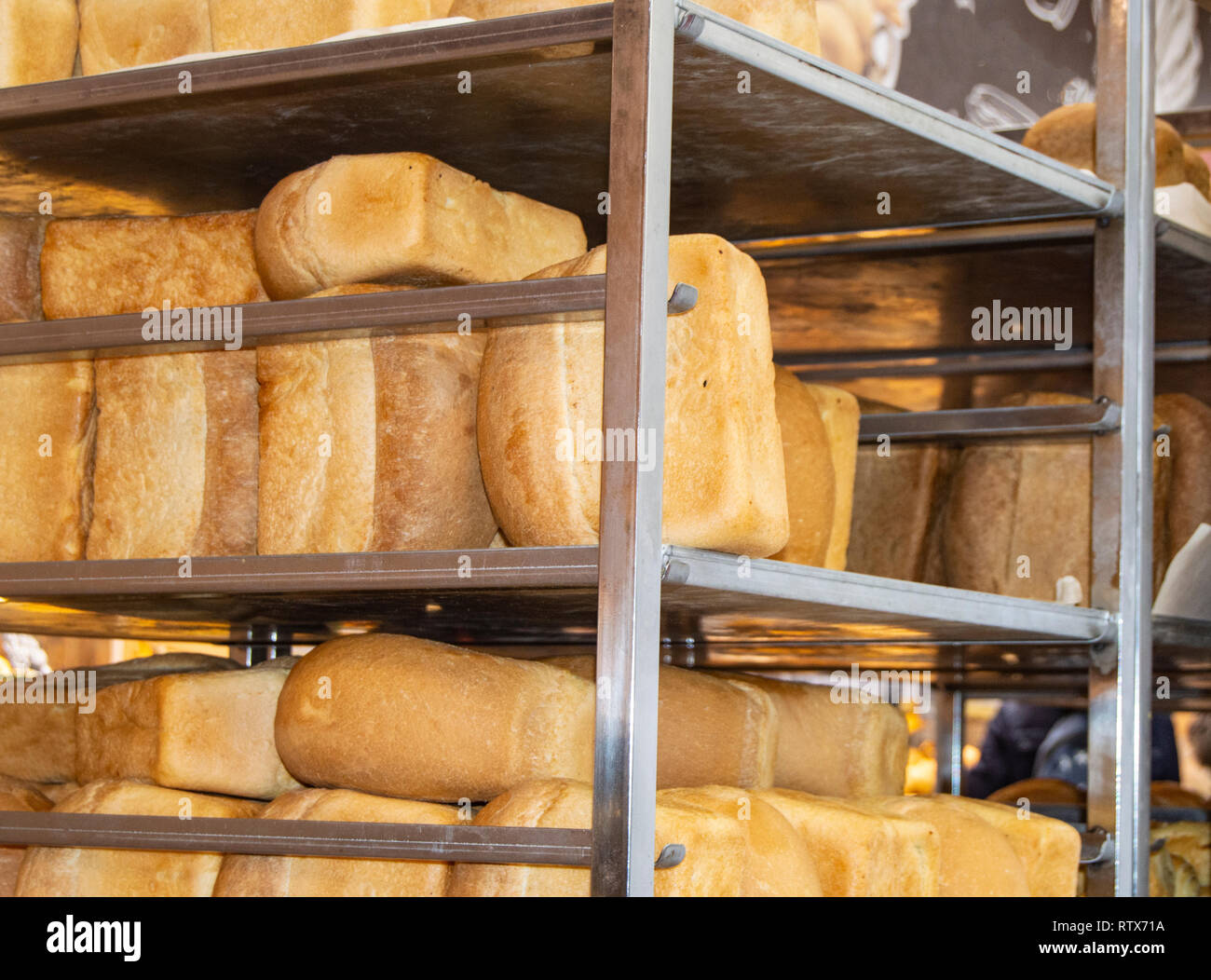 Rows of hot crunchy bread loaves lying on the shelf in the supermarket ...