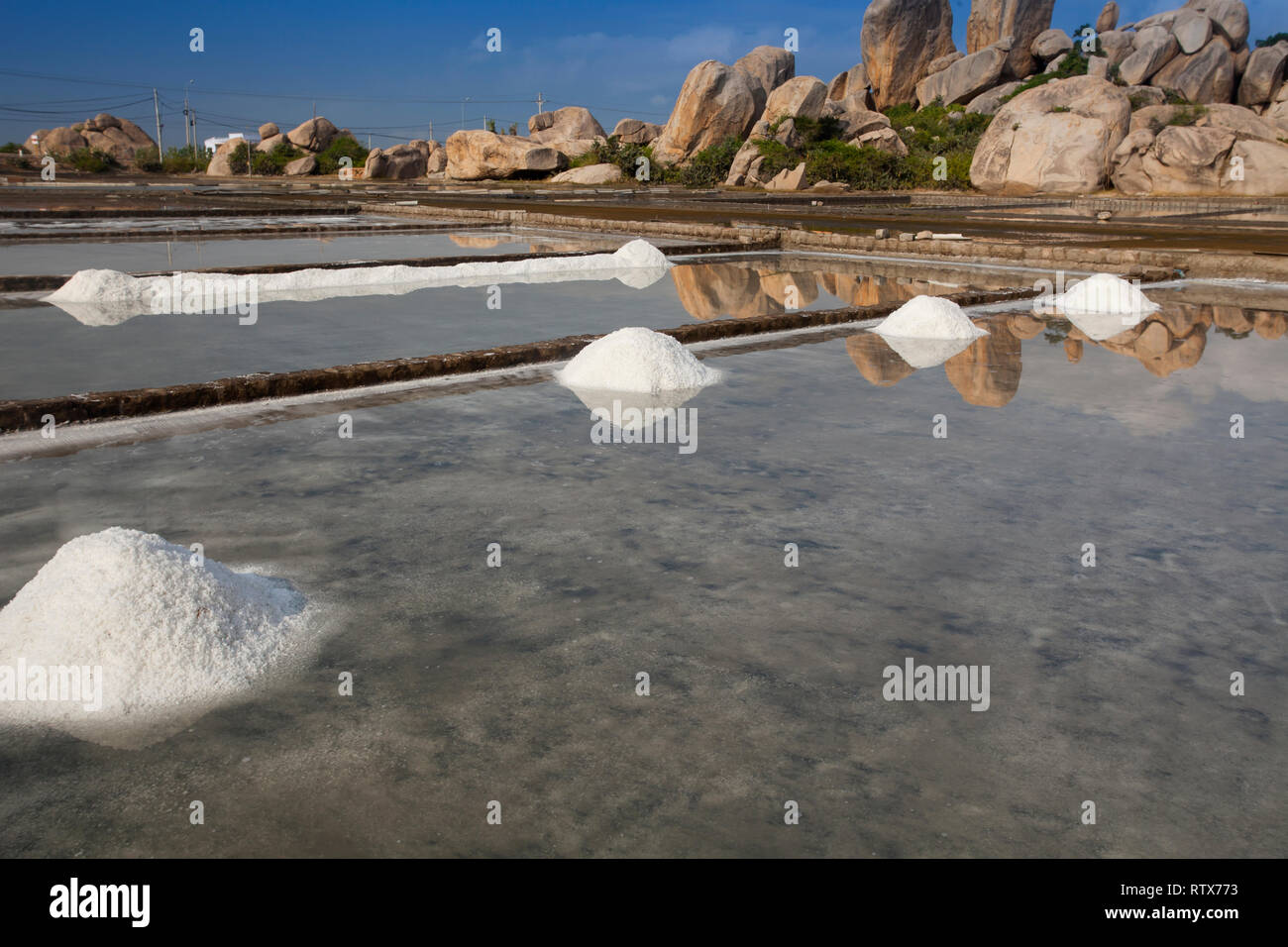 Salt fields for salt production, Ninh Thuan province, Vietnam, Asia ...