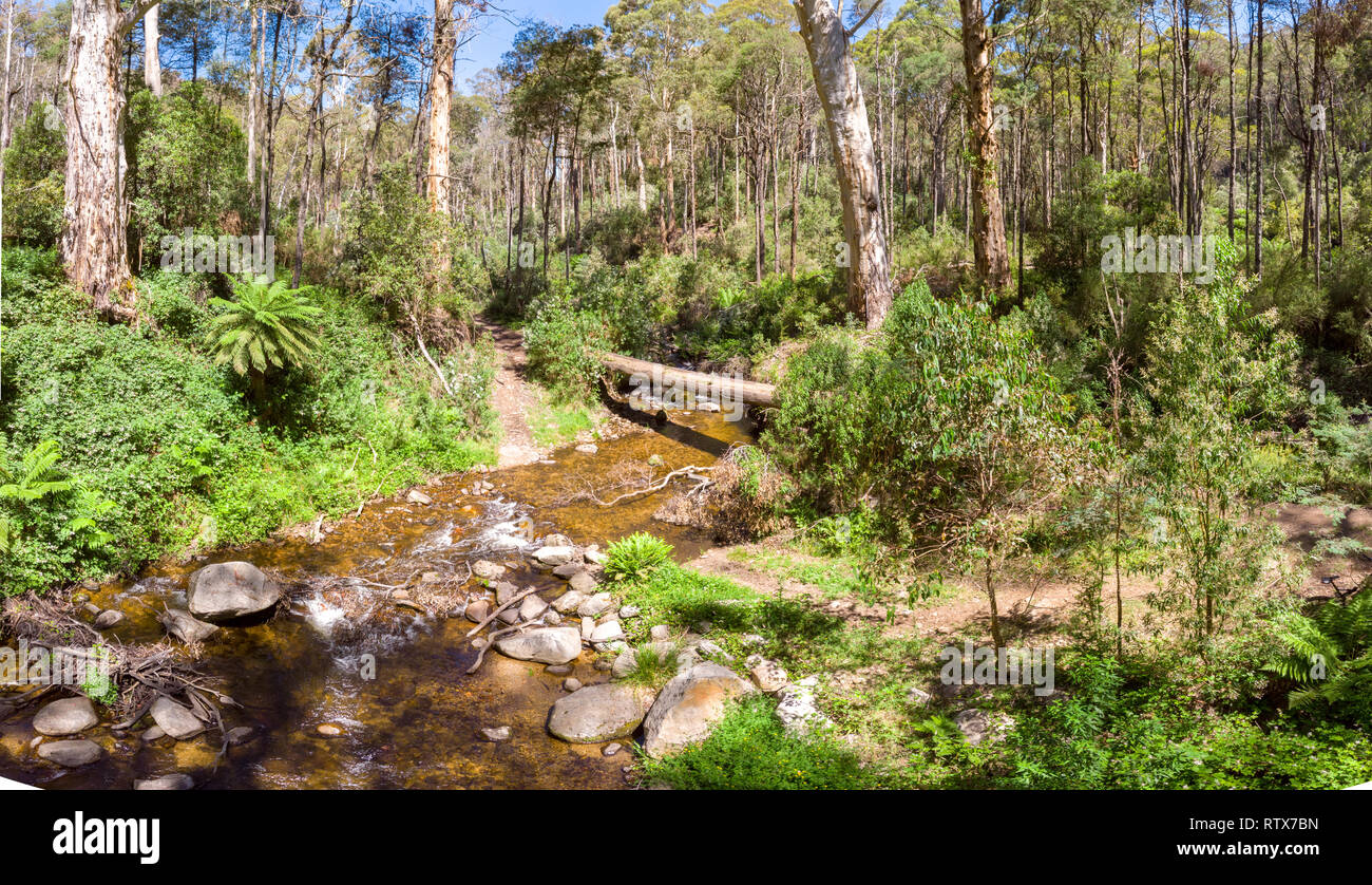 Delatite River Trail at Mt Buller Stock Photo - Alamy
