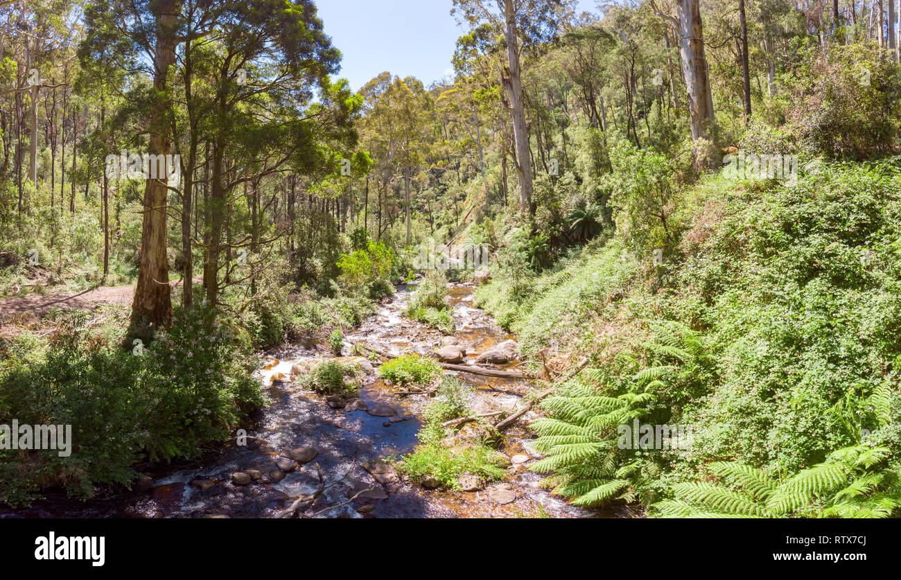 Delatite River Trail High Resolution Stock Photography and Images - Alamy