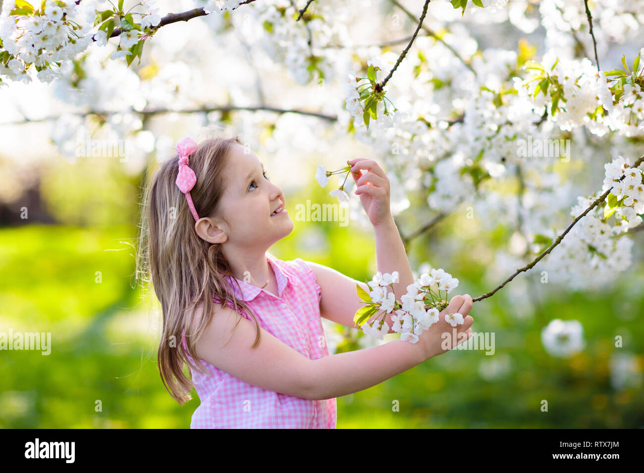 Kids play in spring park. Little girl in sunny garden with blooming ...
