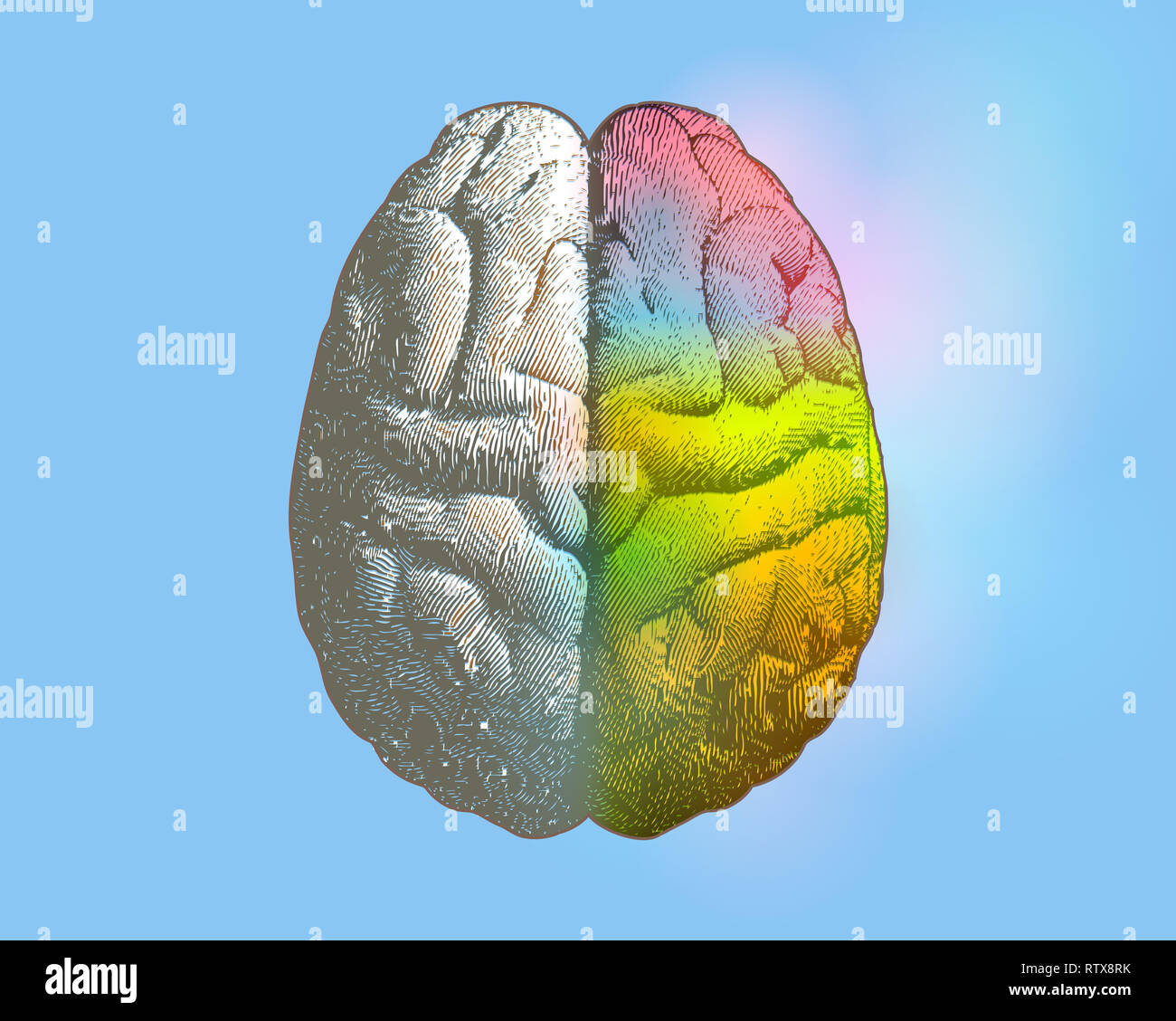 Creative concept of Left and right brain illustration with colorful on ...