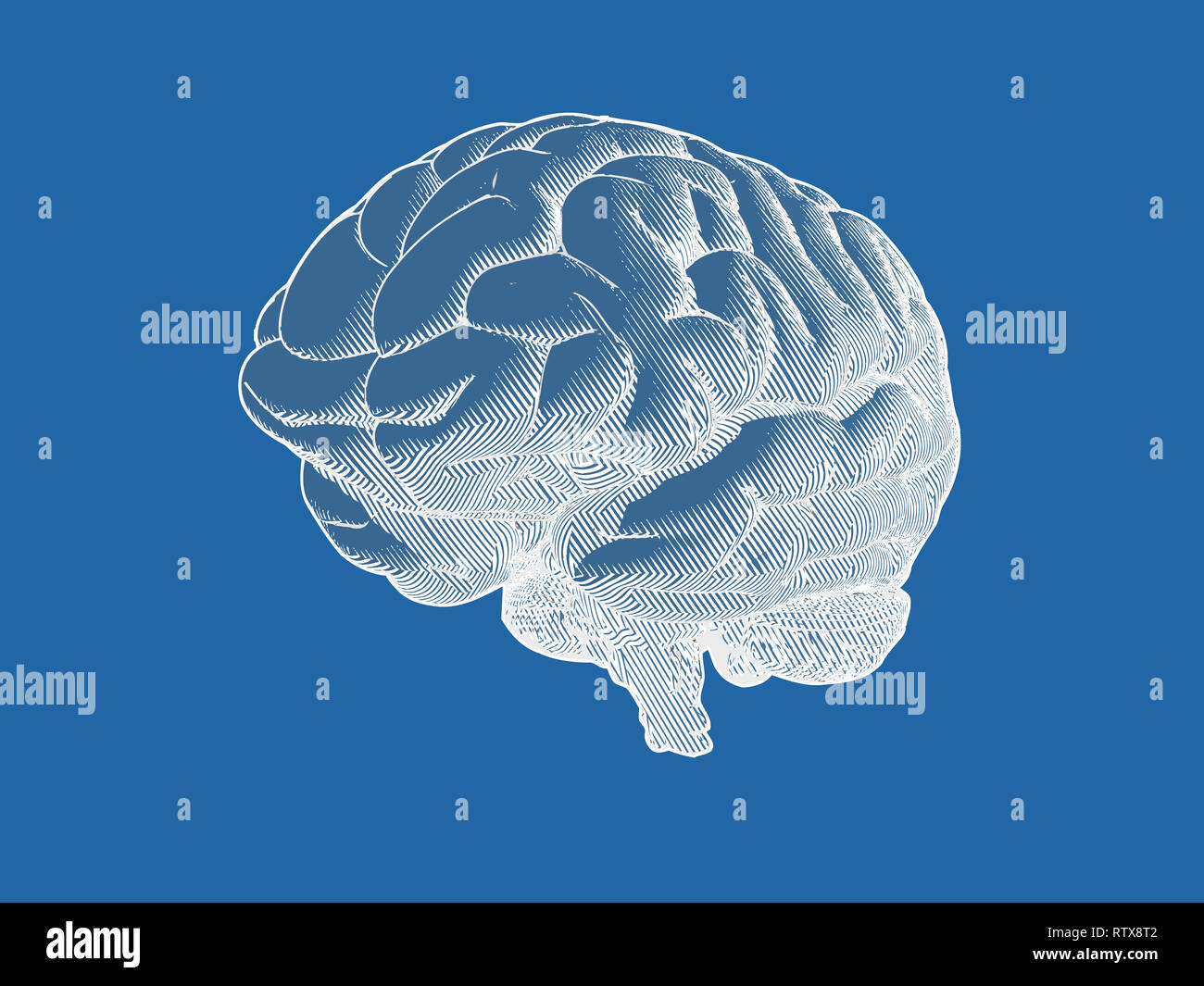 Engraving negative brain in oblique perspective view isolated on blue ...
