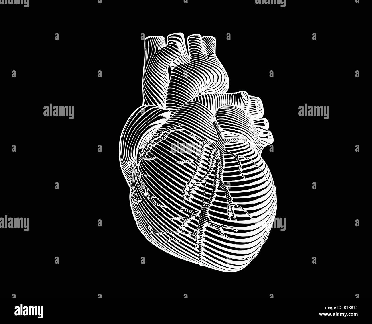 Engraving negative human heart with monochrome flow line art stroke on ...