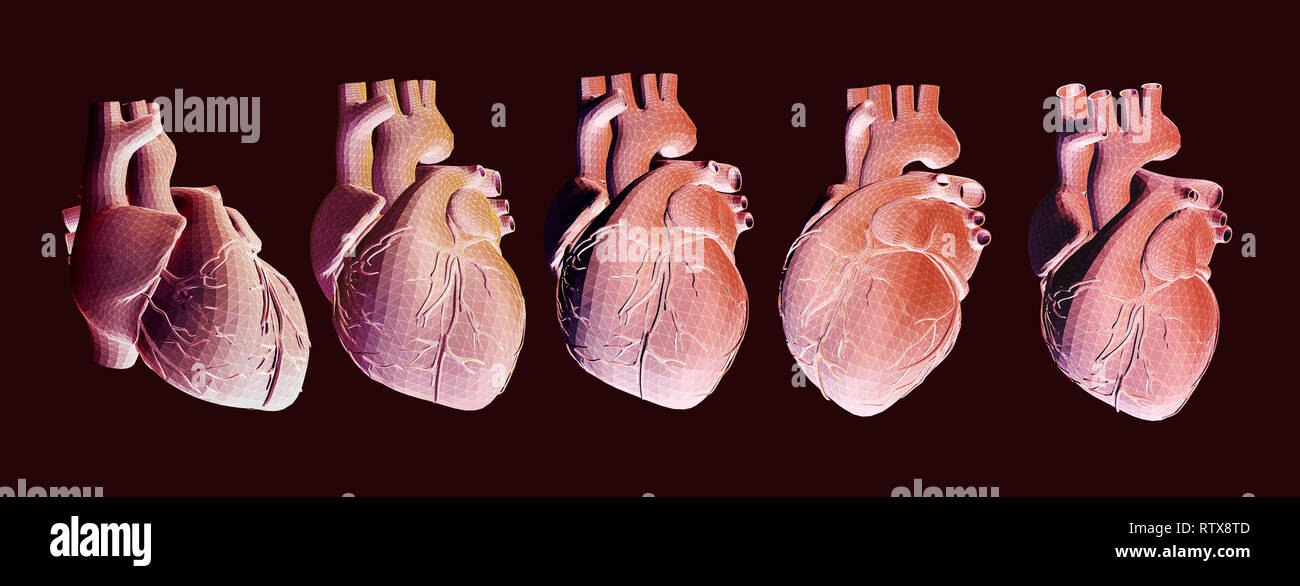 Human heart illustration in various view with wireframe triangular on ...