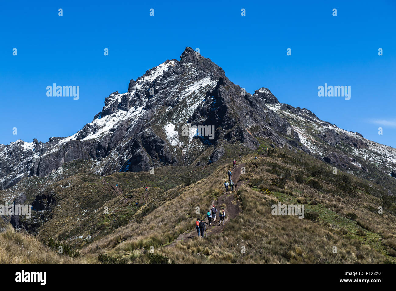 Group of mountaineers walking towards Rucu Pichincha Stock Photo - Alamy