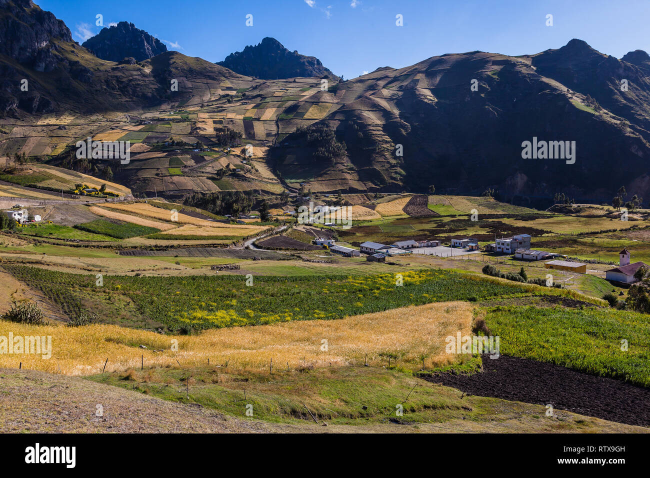 Andean agricultural area in the province of Cotopaxi, Zumbahua. Crops ...