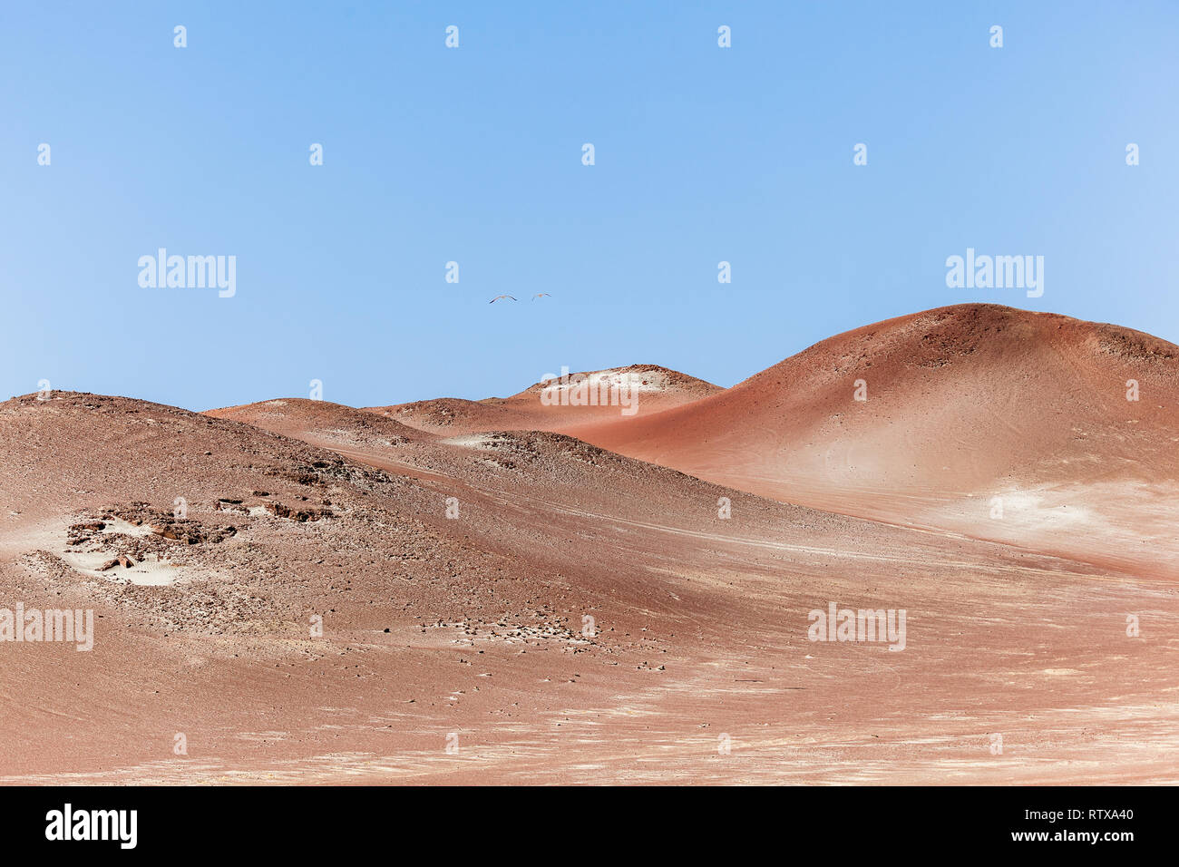 Desert, dunes and sandbanks of the Peruvian coast, Paracas Stock Photo ...