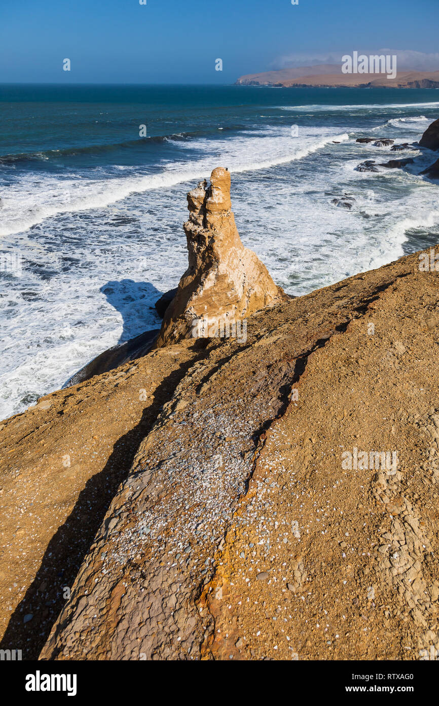 Blue sky, green sea, yellow cliffs and many birds, coasts of Peru ...