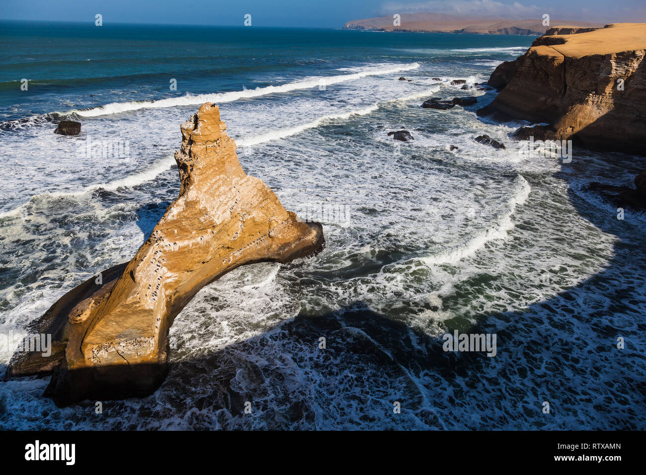 Blue sky, green sea, yellow cliffs and many birds, coasts of Peru ...