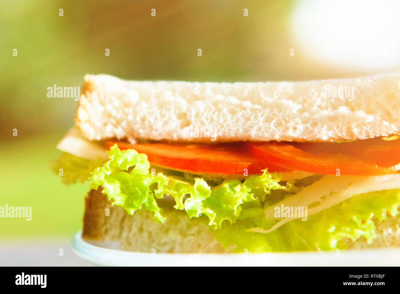 Vegetarian low carb sandwich - healthy diet, homemade and eating ...