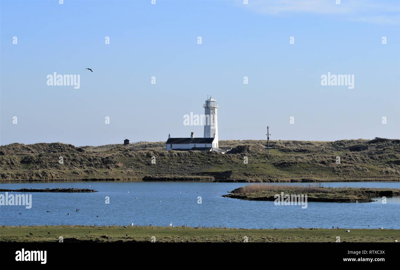Walney island wildlife hi-res stock photography and images - Alamy