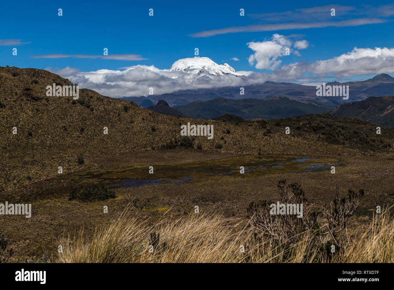 Wetlands of the Cayambe-Coca Reserve Stock Photo - Alamy